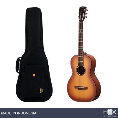 Acoustic Guitar Price in Nepal | Buy Best Acoustic Guitars | Treasure Music