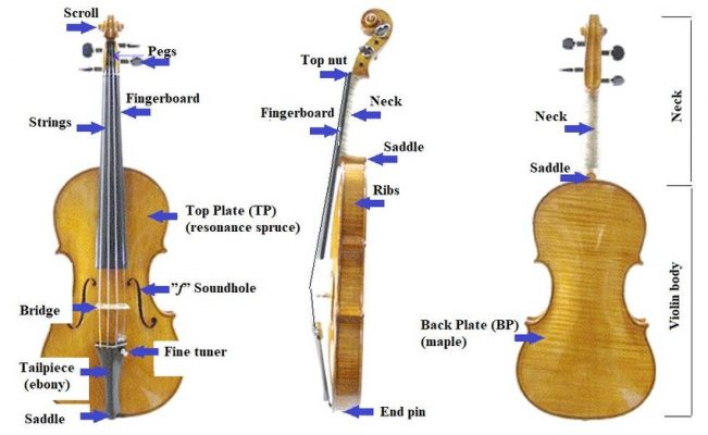 Buying a violin in Nepal? A beginner's guide to buying a violin in Nepal