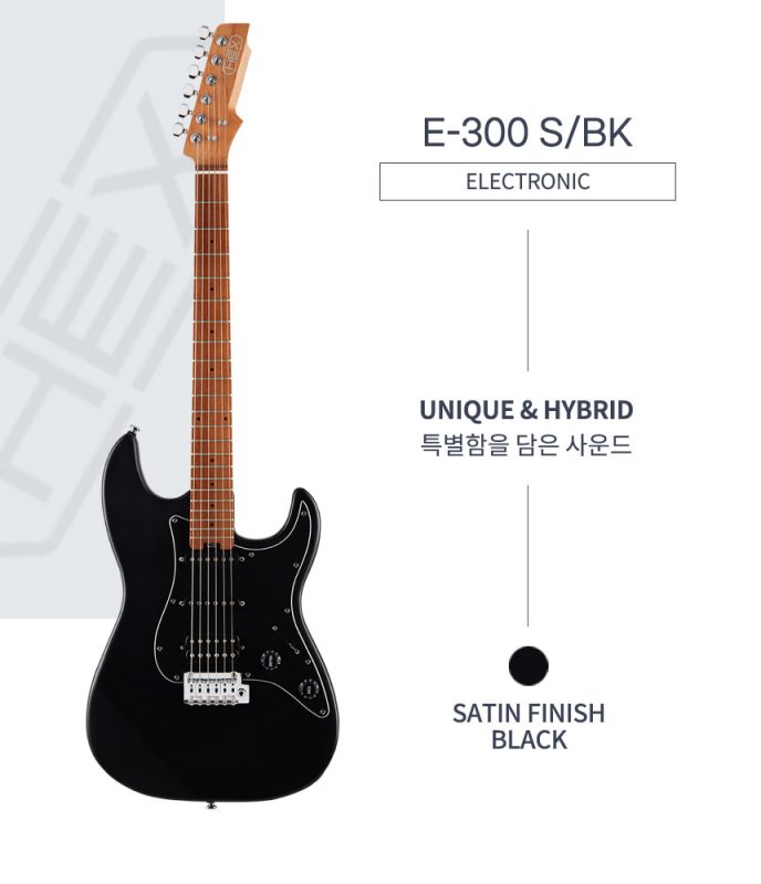 Hex E300 S/BK Black Stratocaster Electric Guitar with Deluxe Bag