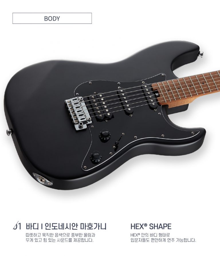 Hex E300 S/BK Black Stratocaster Electric Guitar with Deluxe Bag