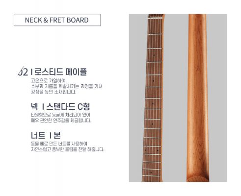 Hex E300 S/BK Black Stratocaster Electric Guitar with Deluxe Bag