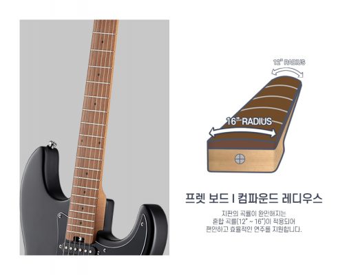 Hex E300 S/BK Black Stratocaster Electric Guitar with Deluxe Bag