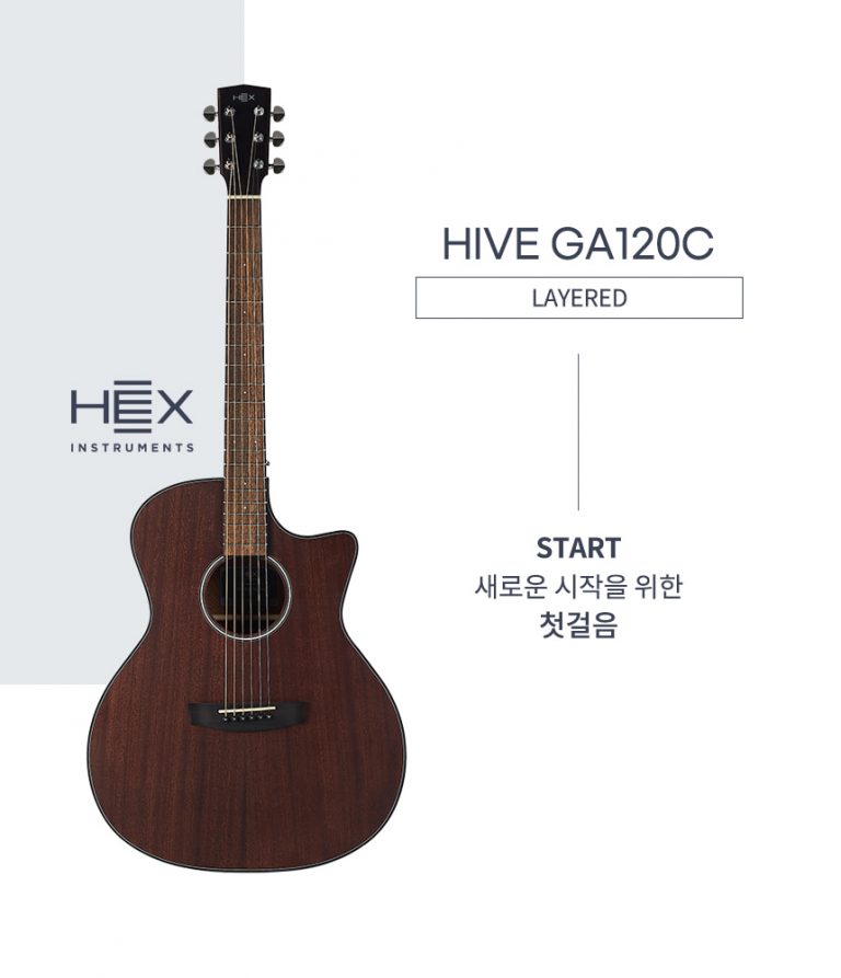 Hex Hive GA120C M Acoustic Guitar with Standard Gig Bag