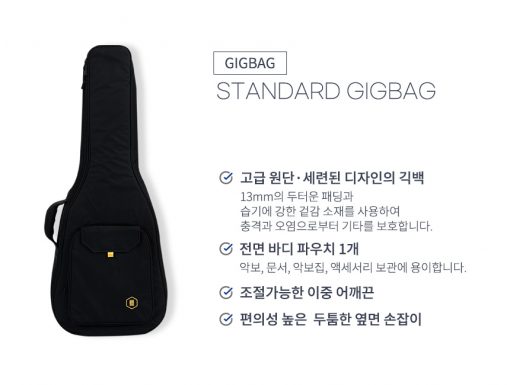 Hex Hive GA120C M Acoustic Guitar with Standard Gig Bag