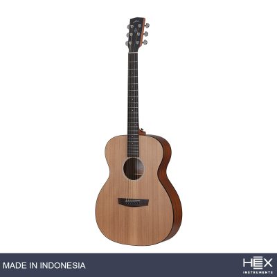 Hex Beta F70 M Acoustic Guitar with Standard Gig Bag