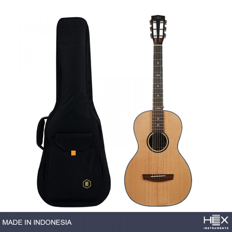 Hex Sting P350G Parlor Acoustic Guitar with Standard Gig Bag