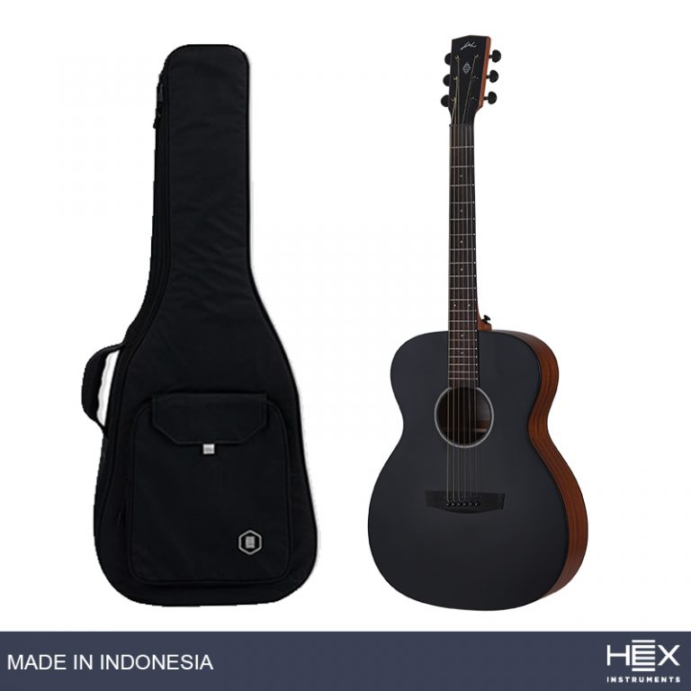 Hex Beta F70 M/BT Acoustic Guitar with Standard Gig Bag