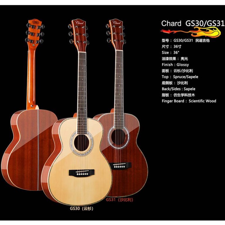 Chard GS31 by Sqoe Acoustic Travel Guitar